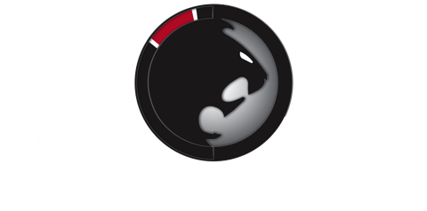 Home - Daniel Gracie Academy